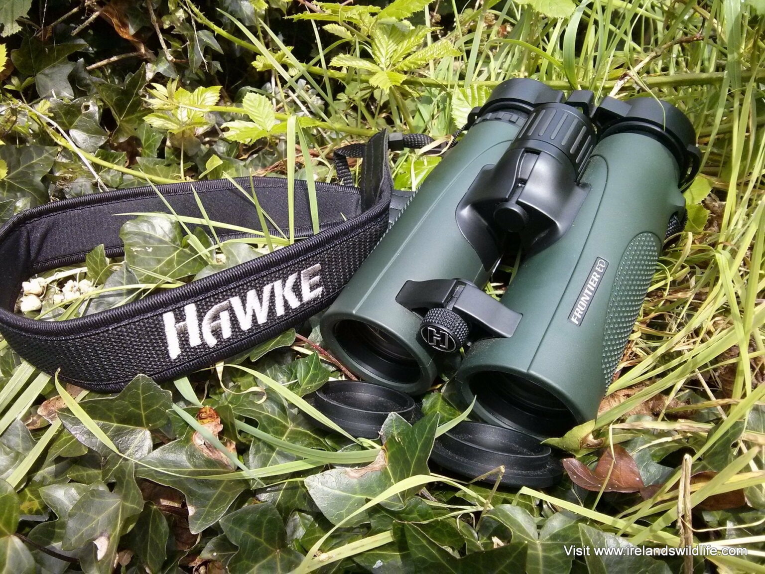 Hawke Frontier ED 8×43 Binocular Review | Ireland's Wildlife