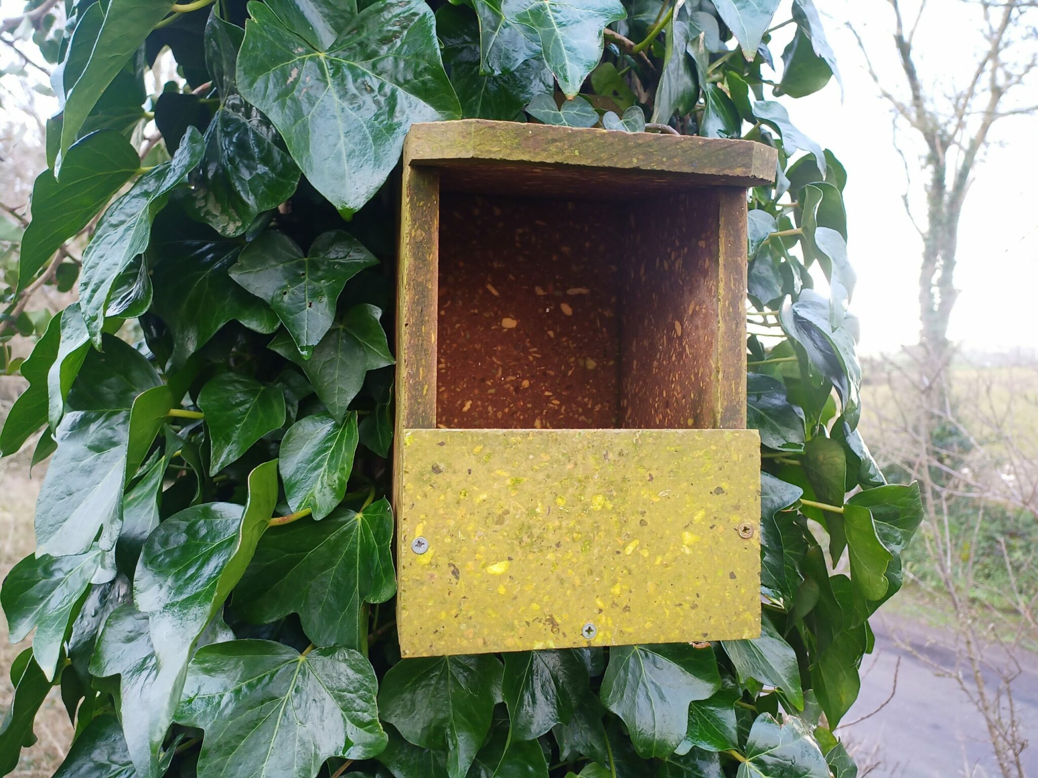 Garden Bird Nestbox Resources | Ireland's Wildlife