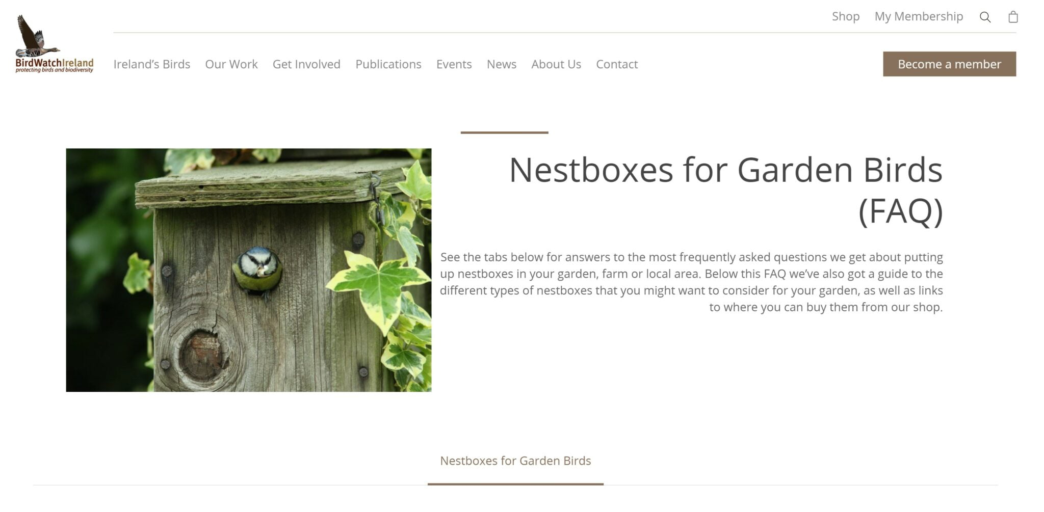 Garden Bird Nestbox Resources | Ireland's Wildlife